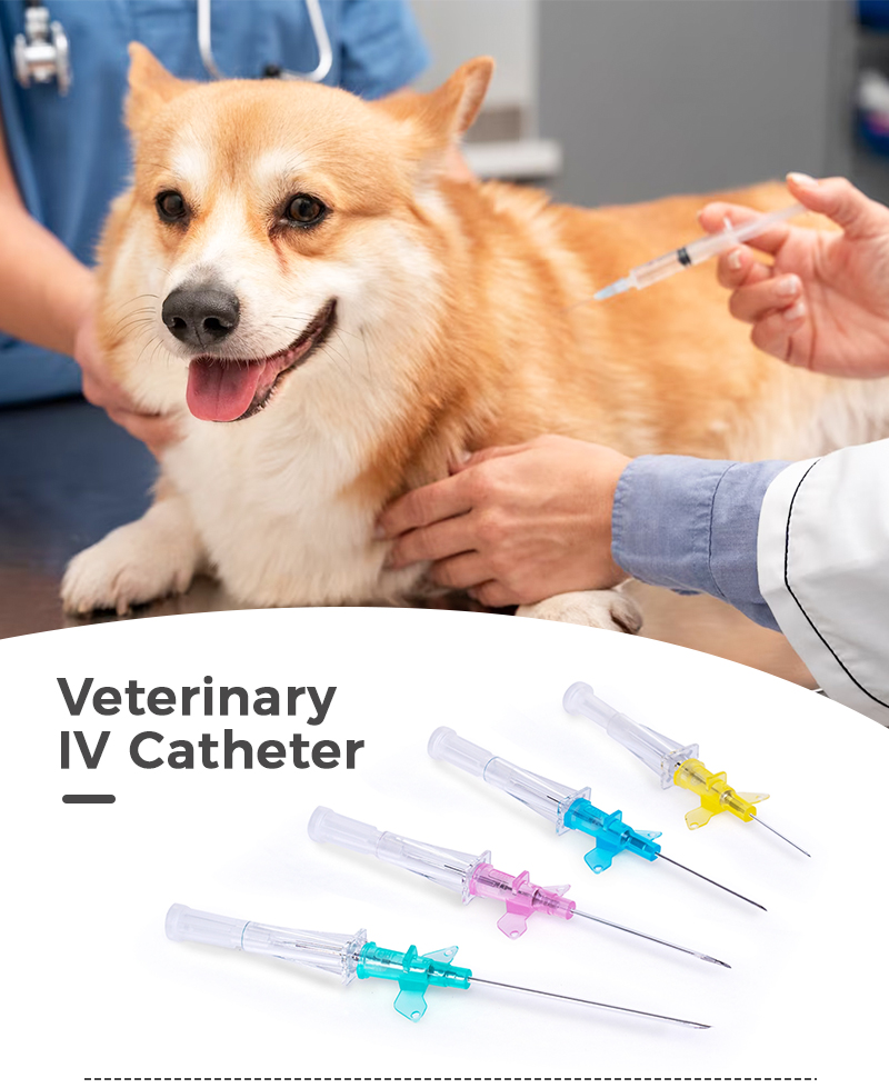 China VETERINARY I.V. CATHETER WITH WINGS FOR PETS Manufacturer and ...